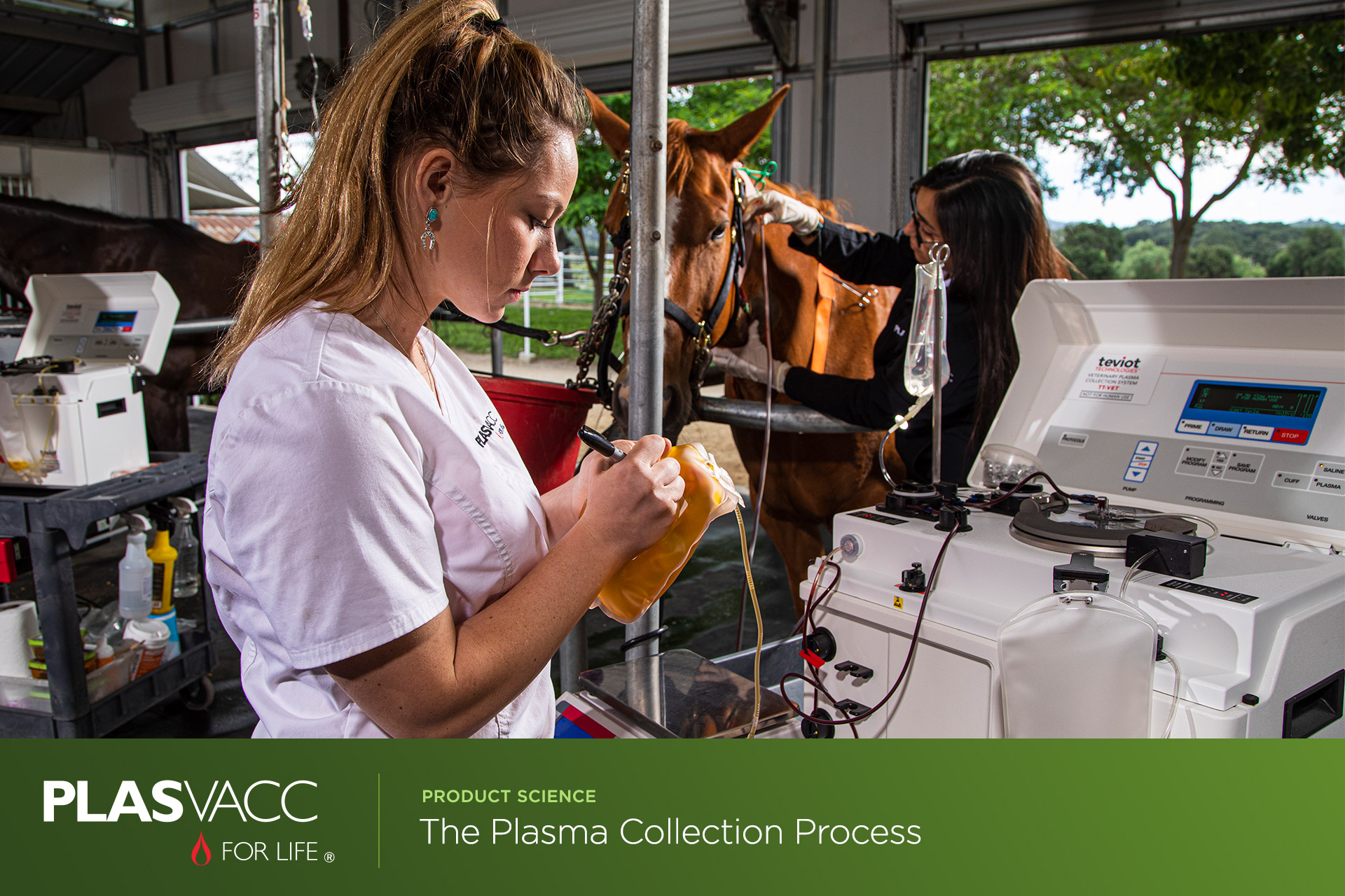 The Plasma Collection Process - Plasvacc USA