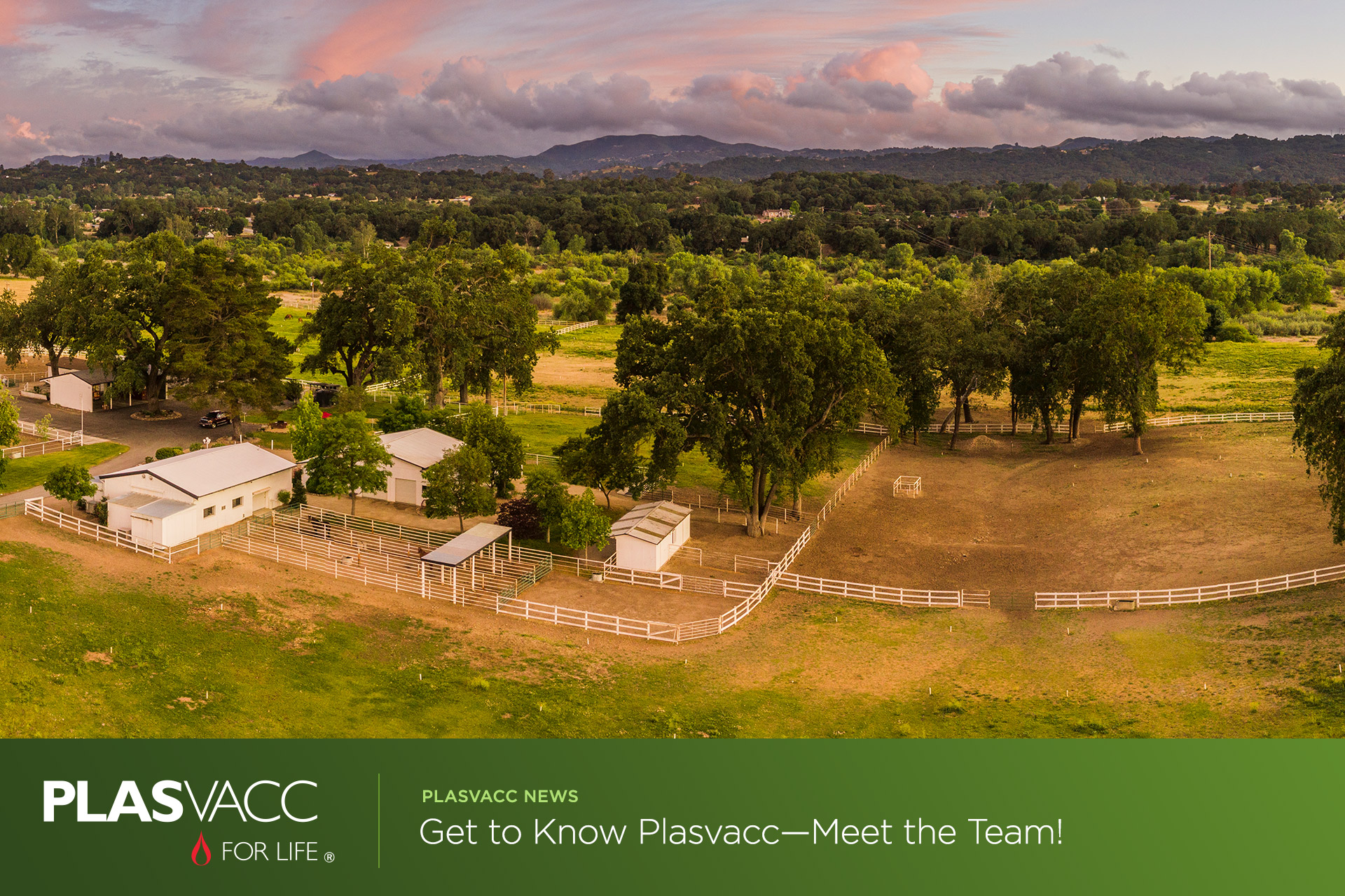 Get to Know Plasvacc USA — Meet the Team! - Plasvacc USA